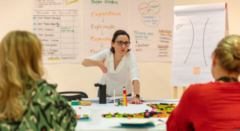 Facilitator Training Program - SeriousplayTraining